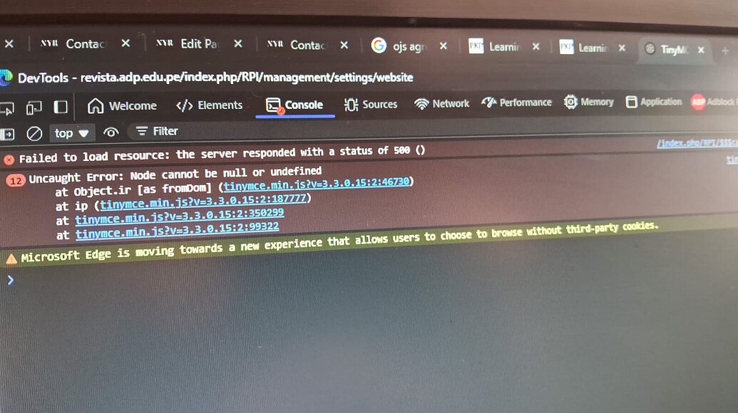 Error loading modules tab – “Node cannot be null or undefined” (TinyMCE) and 500 Server Error ...