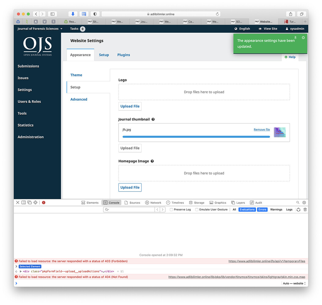 SOLVED: Upgrade from OJS 3.1.2.4 to OJS 3.2.1.2: problems with url api ... SOLVED: Upgrade from OJS 3.1.2.4 to OJS 3.2.1.2: problems with url api ...